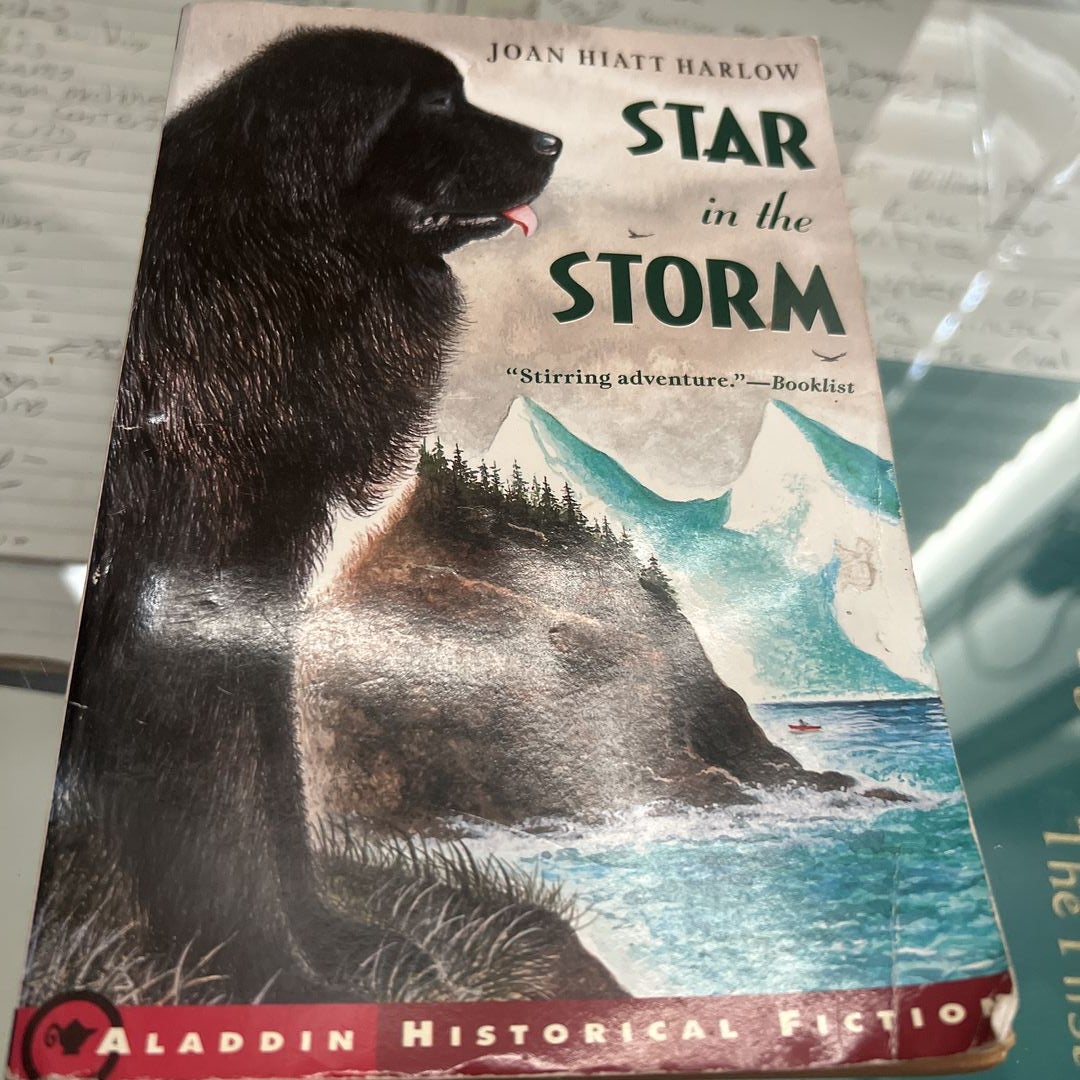 Star in the storm by John Hatt Harlow, Paperback | Pangobooks