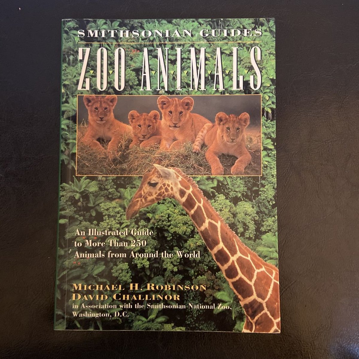 Zoo Animals by Michael H. Robinson, David Challinor