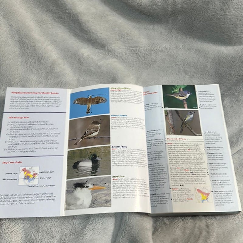 The Stokes Field Guide to the Birds of North America by Donald Stokes ...