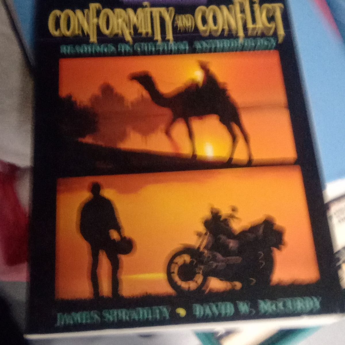 Conformity and Conflict