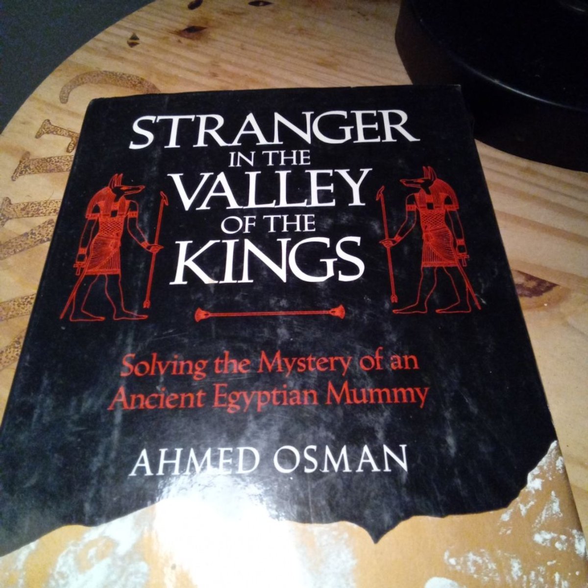 Stranger in the Valley of the Kings by Ahmed Osman