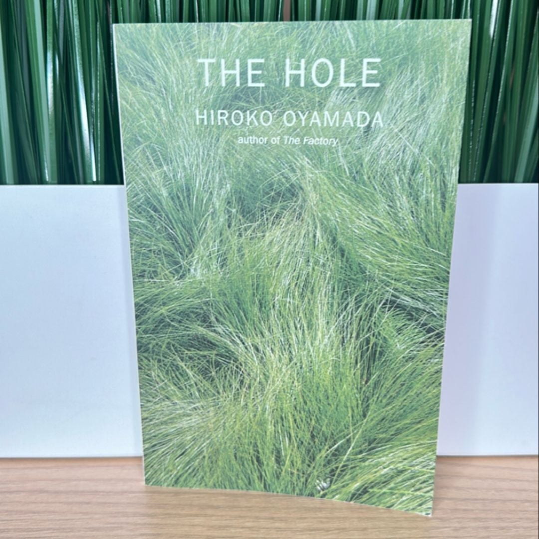 The Hole by Hiroko Oyamada, David Boyd