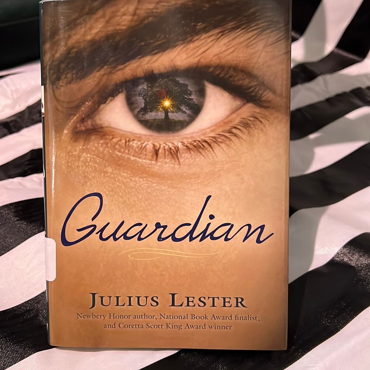 Guardian by Julius Lester
