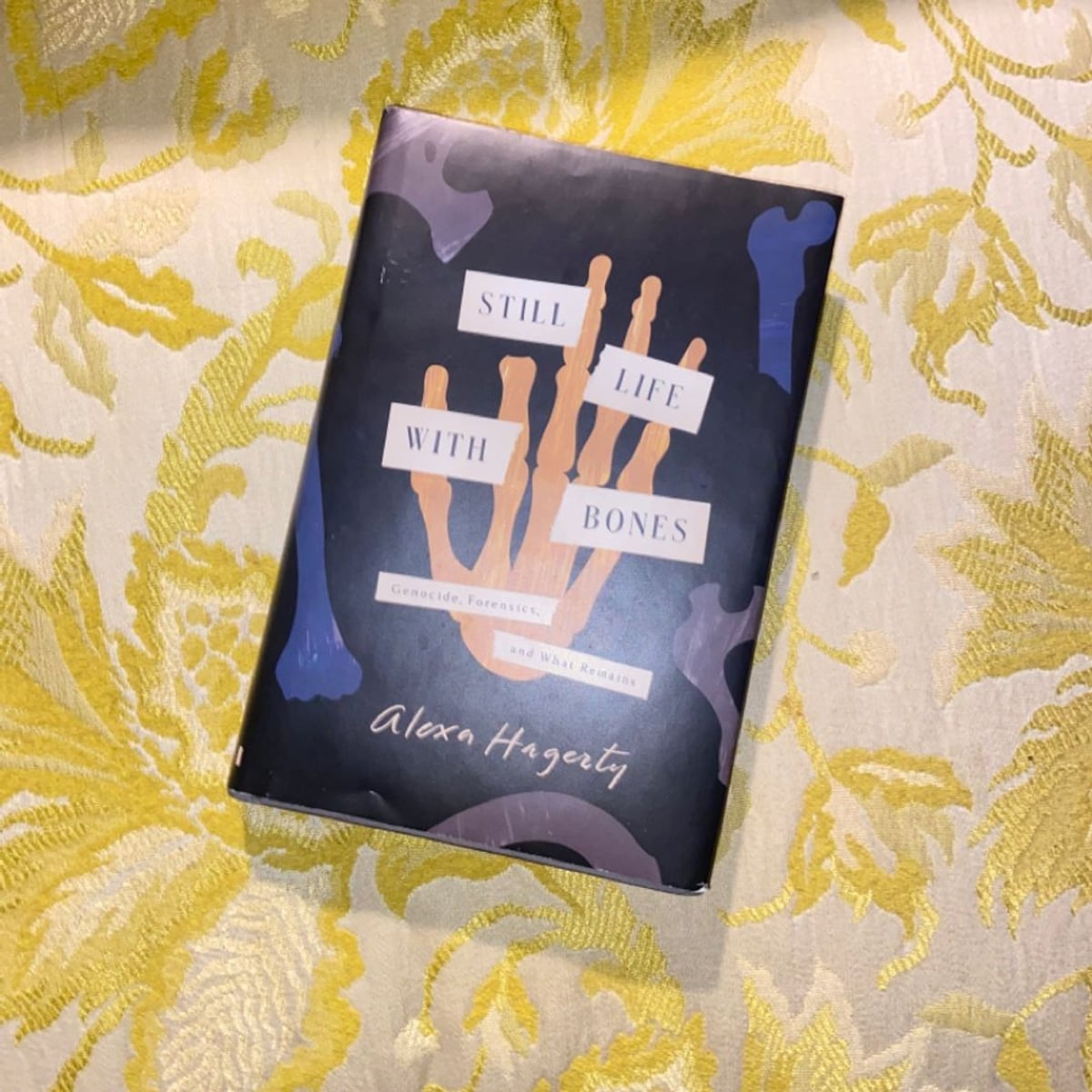 Still Life with Bones by Alexa Hagerty, Hardcover | Pango Books