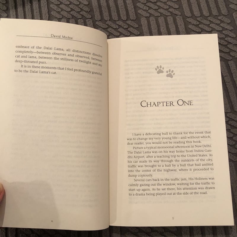 The Dalai Lama's Cat by David Michie