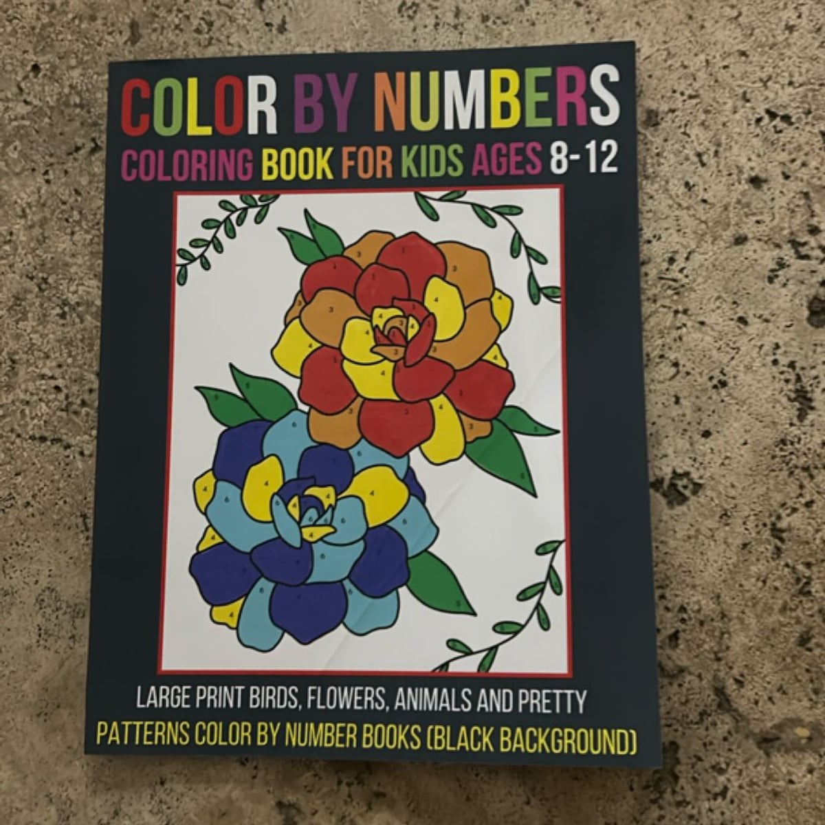 Color by Numbers Coloring Book for Kids Ages 8-12 Large Print Birds ...