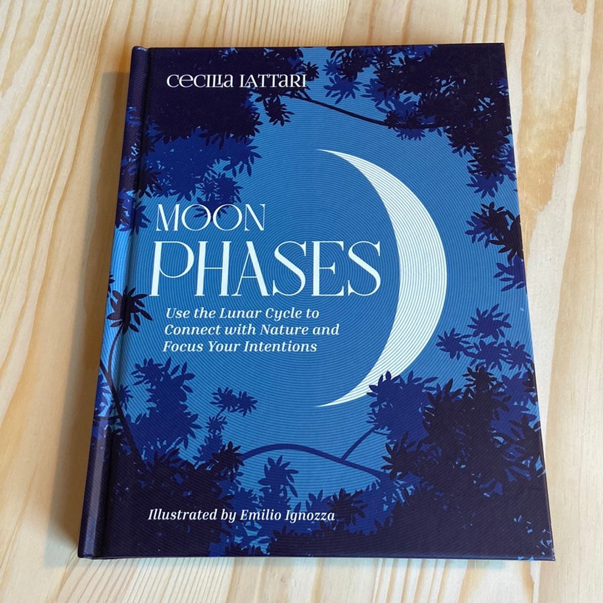 Moon Phases by Cecilia Lattari