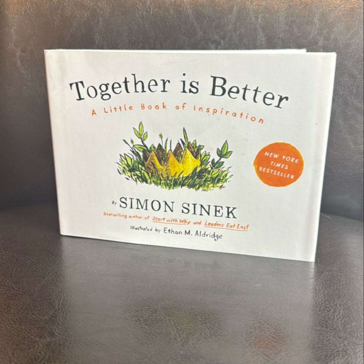 Together Is Better by Simon Sinek