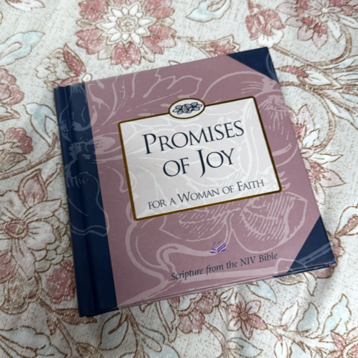 Promises of Joy for a Woman of Faith by Mary Pielenz Hampton