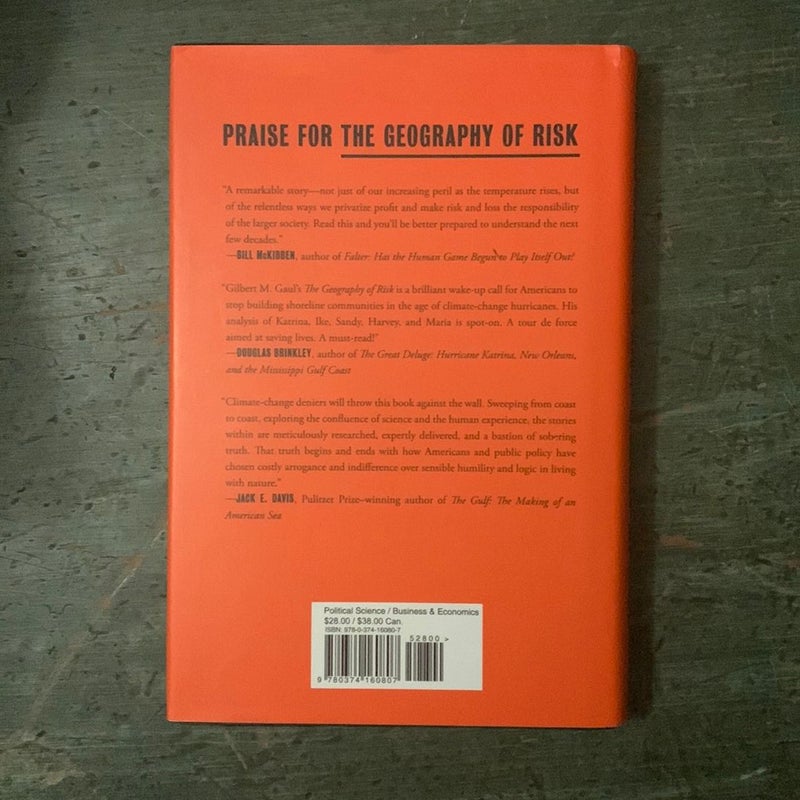 The Geography of Risk by Gilbert M. Gaul