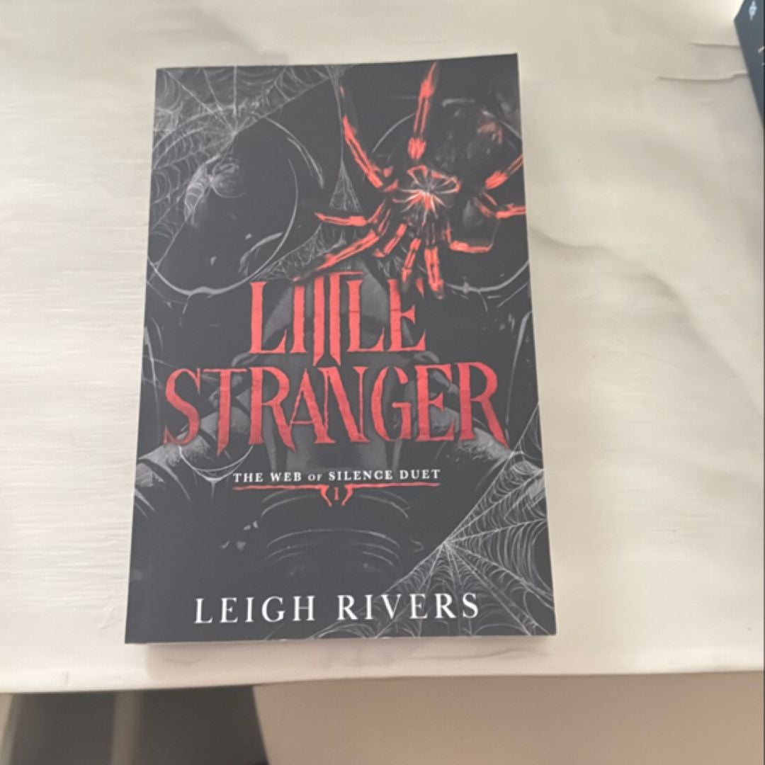 Little Stranger by Leigh Rivers