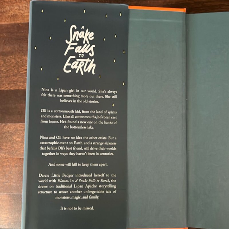 A Snake Falls to Earth by Darcie Little Badger, Hardcover | Pangobooks