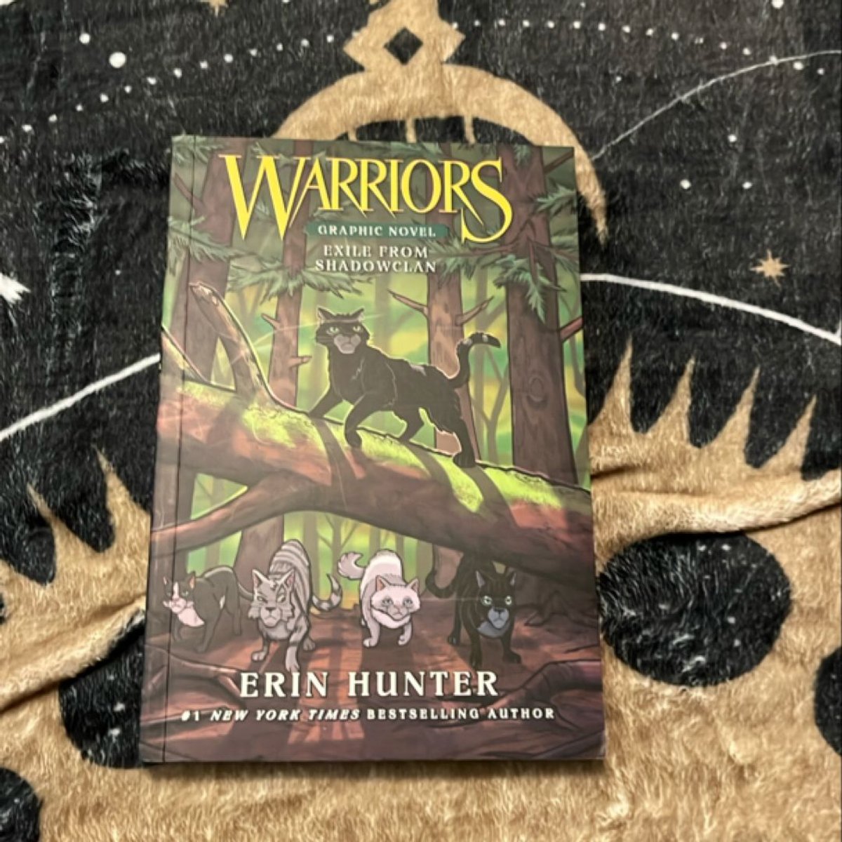 Warriors: Exile from ShadowClan by Erin Hunter