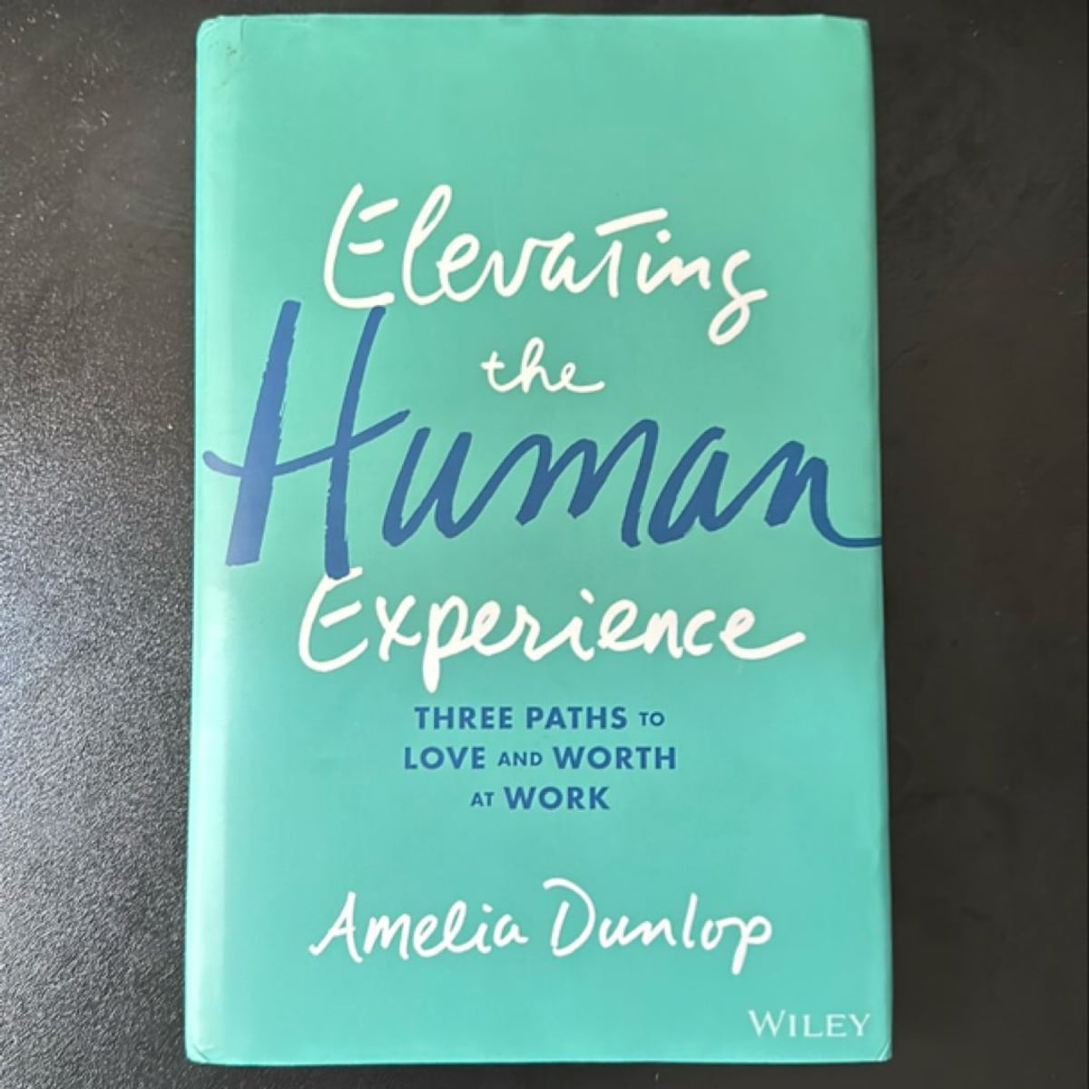 Elevating the Human Experience by Amelia Dunlop