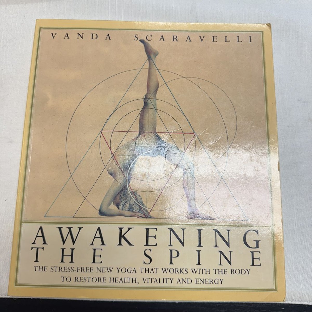 Awakening the Spine by Vanda Scaravelli, Paperback | Pangobooks