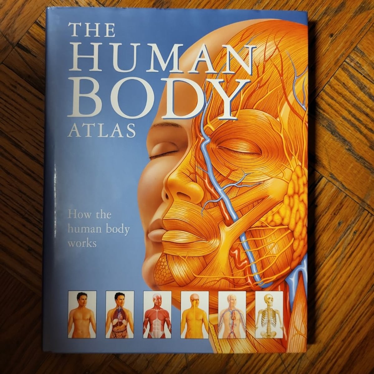 The Human Body Atlas by Golden Cheers, Hardcover | Pangobooks