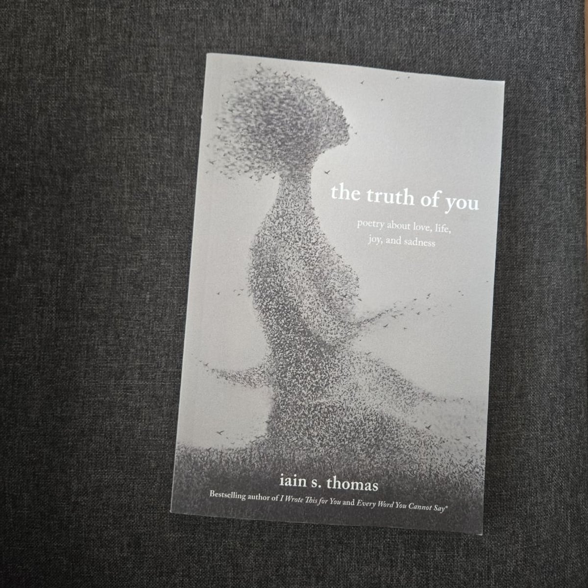 The Truth of You by Iain S. Thomas