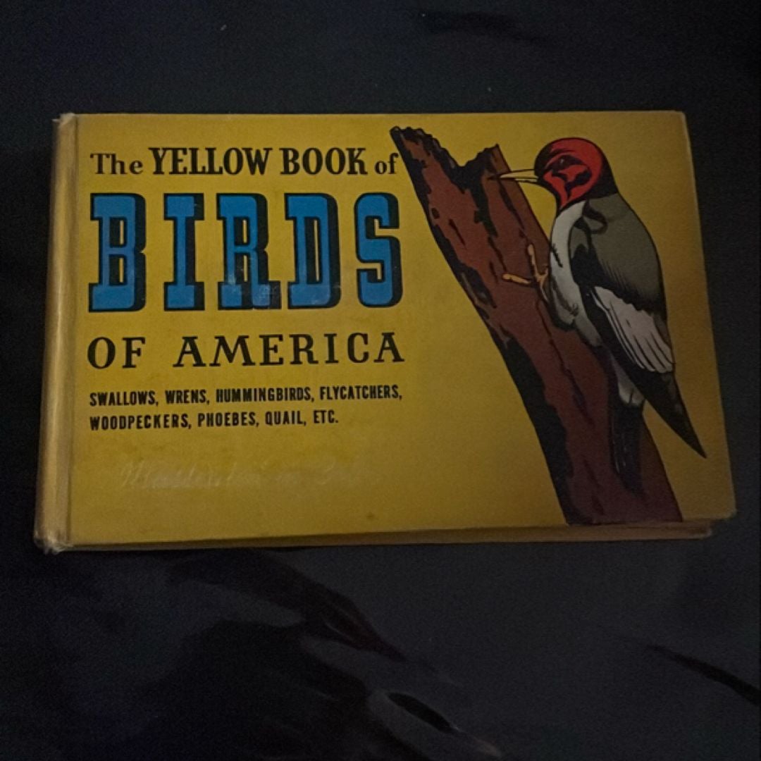 The Yellow Book of Birds in America by Frank G. Ashbrook, Hardcover ...