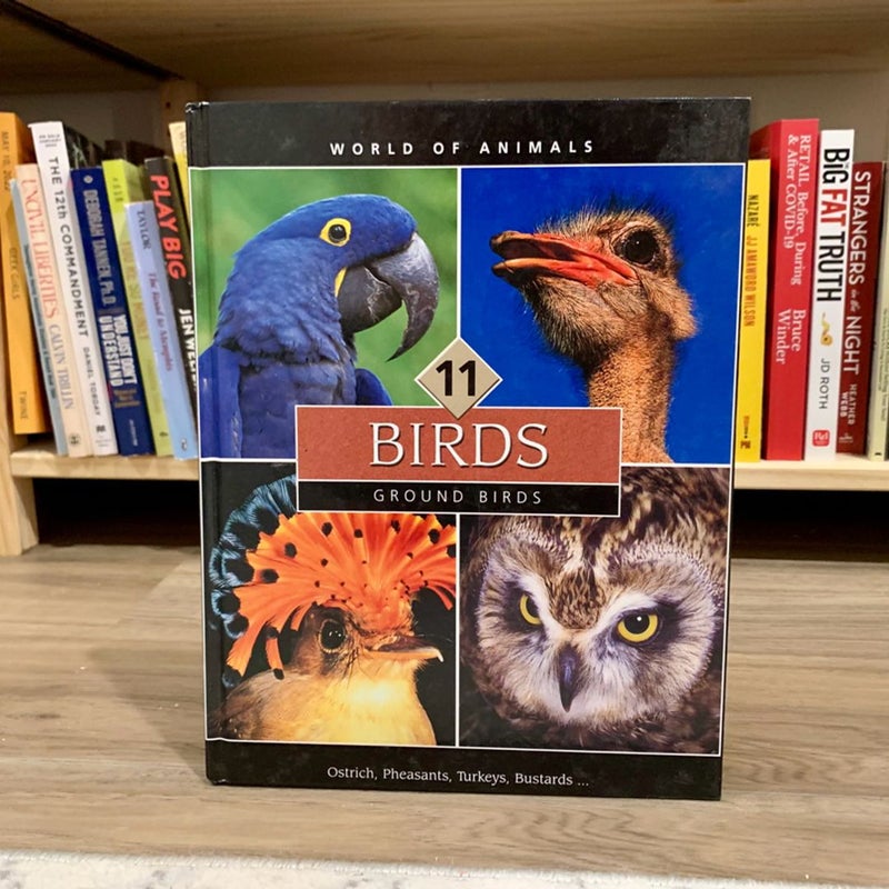 Animal Fact Files Birds by David Chandler