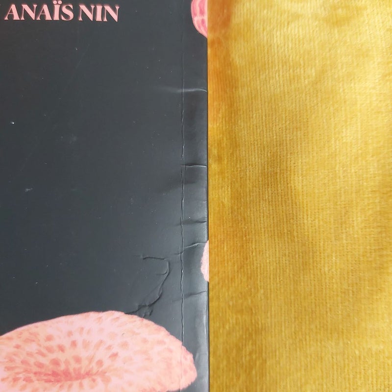 The Collection by Nina Leger, Paperback | Pangobooks