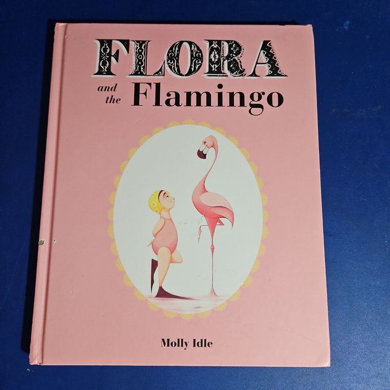 Flora and the Flamingo by Molly Idle