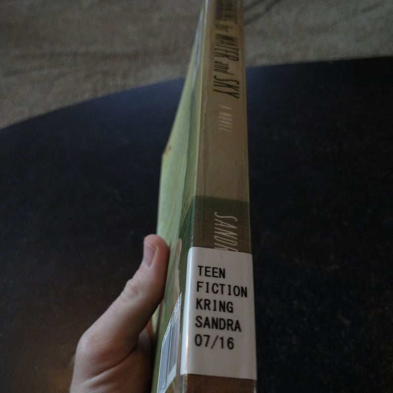 Running for Water and Sky by Sandra Kring, Paperback | Pangobooks