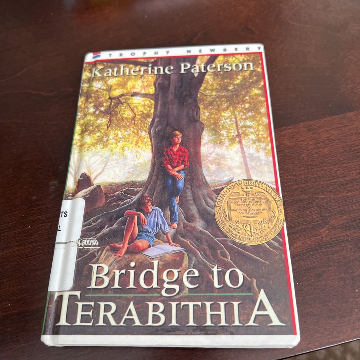 Bridge to Terabithia by Katherine Paterson, Hardcover | Pangobooks