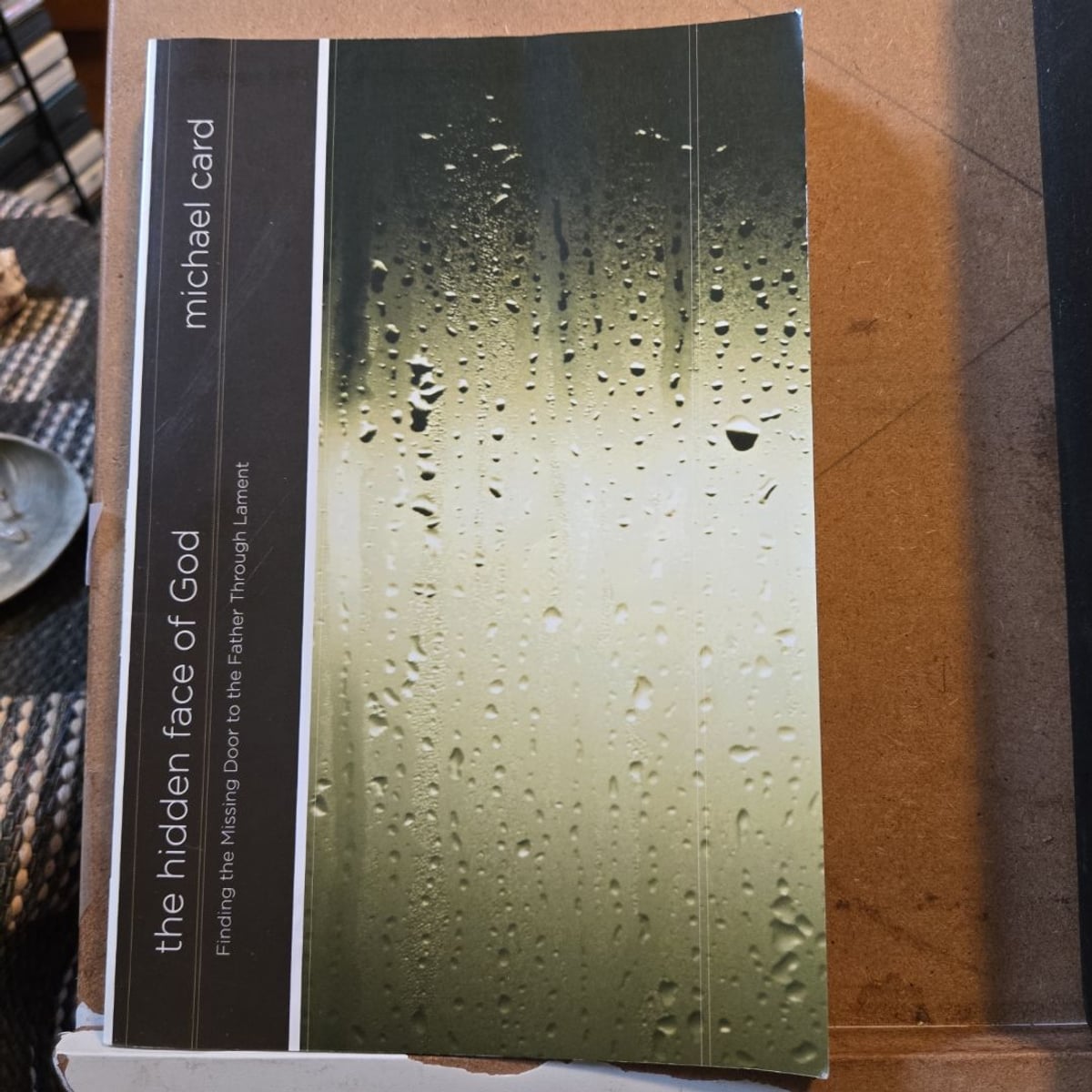 The Hidden Face of God by Michael Card