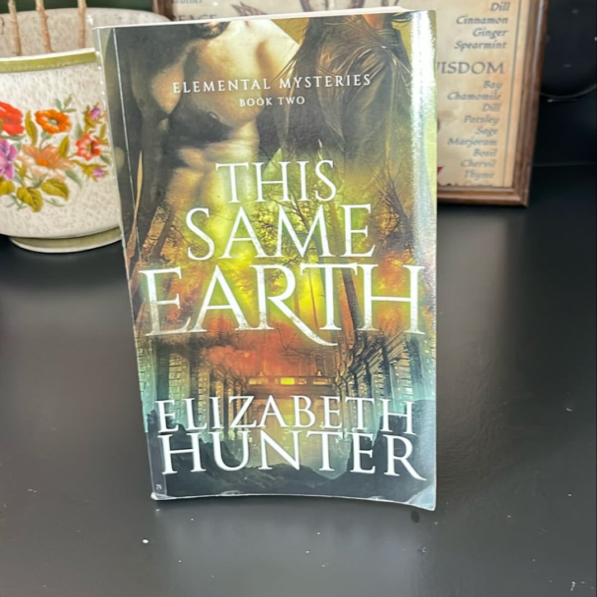 This Same Earth by Elizabeth Hunter