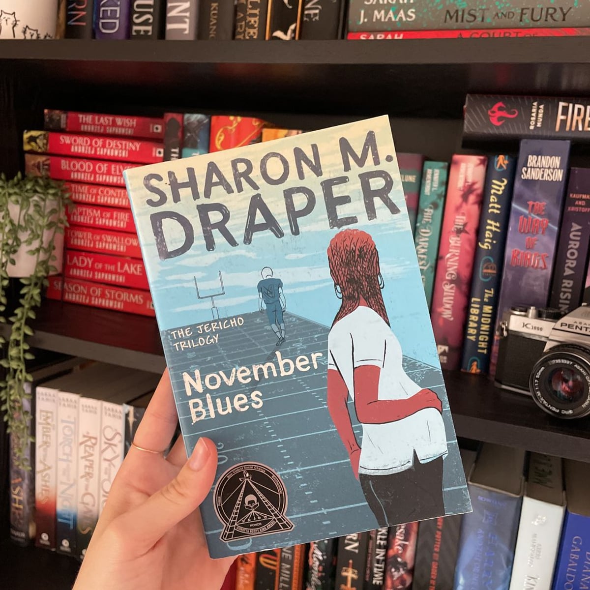 November Blues by Sharon M. Draper, Paperback | Pangobooks