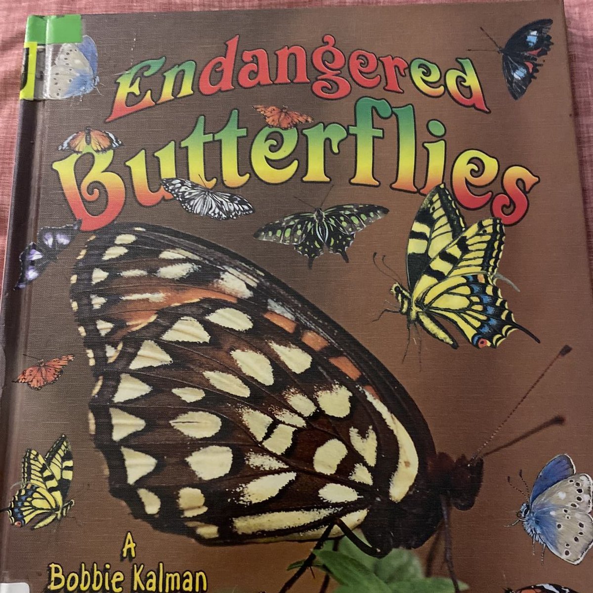 Endangered Butterflies by Bobbie Kalman, Robin Johnson