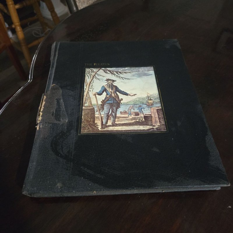 The Pirates by Douglas Botting, Hardcover | Pangobooks