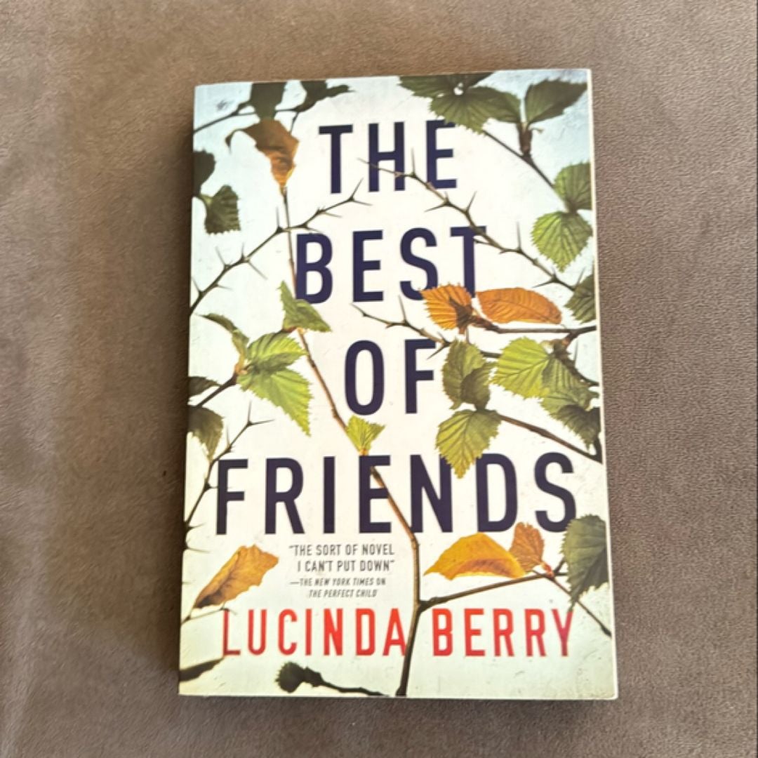 The Secrets of Us by Lucinda Berry