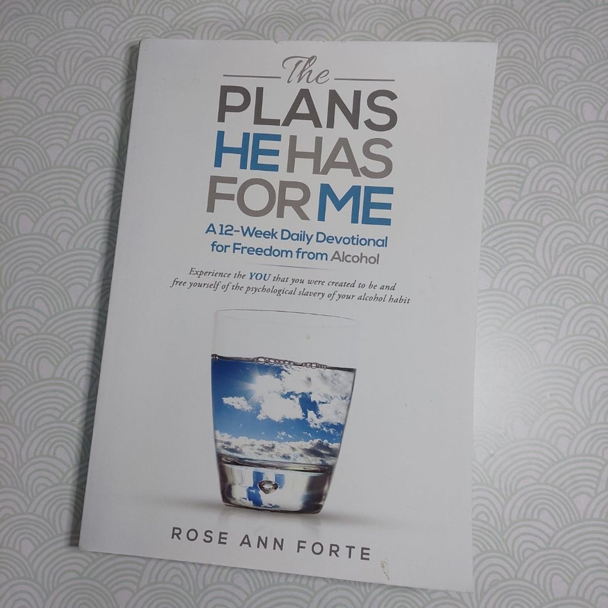 The Plans He Has for Me by Rose Ann Forte