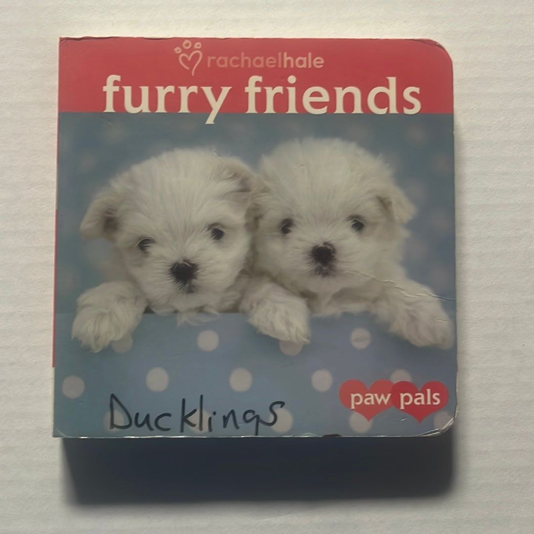 Furry Friends by Rachael Hale, Hardcover | Pangobooks