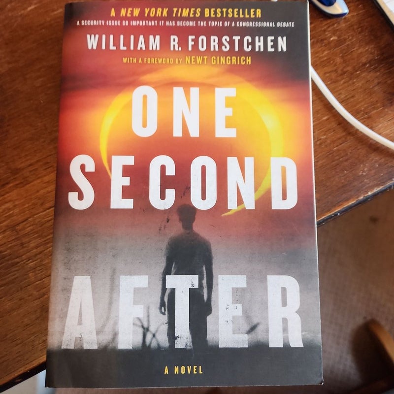 One Second After by William R. Forstchen, Paperback | Pangobooks