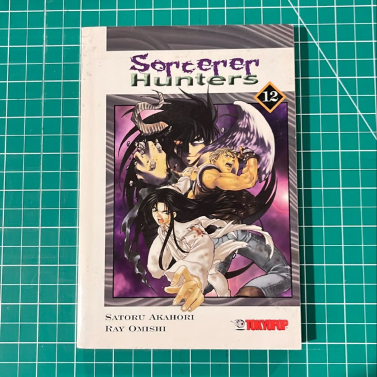 Sorcerer Hunters by Satoru Akahori, Ray Omishi, Paperback | Pangobooks