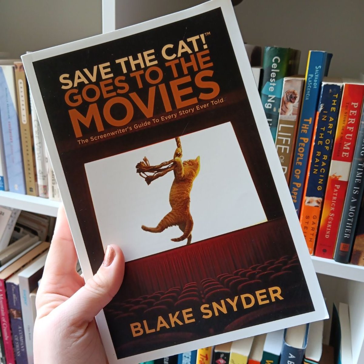 Save the Cat! Goes to the Movies by Blake Snyder