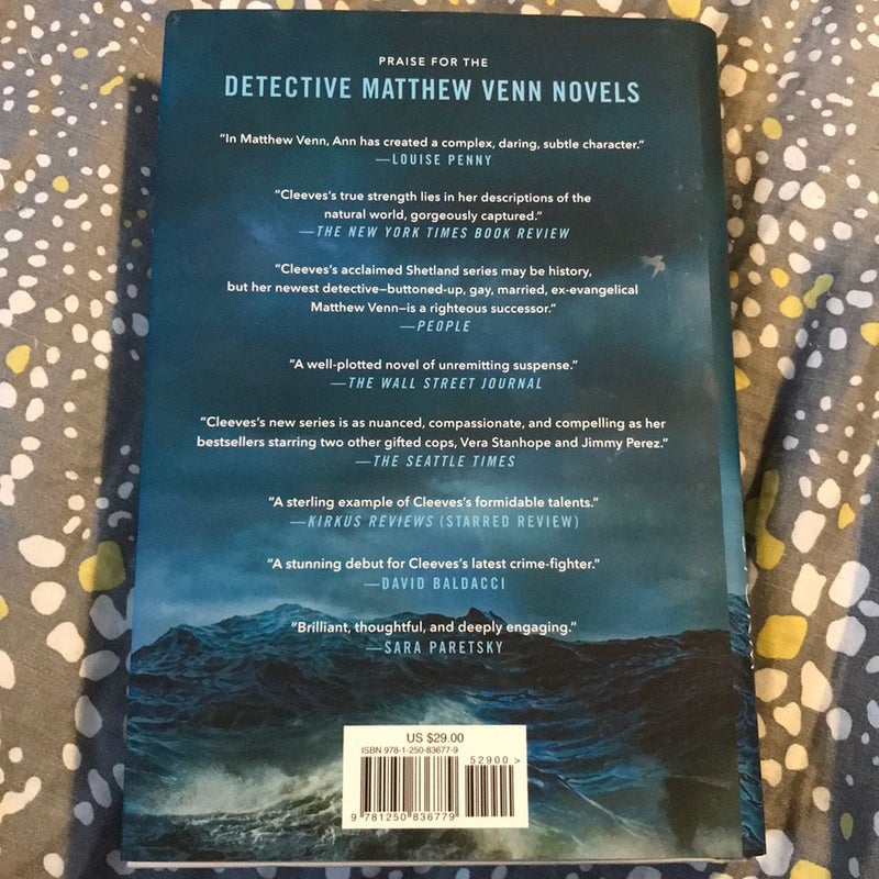 The Raging Storm by Ann Cleeves