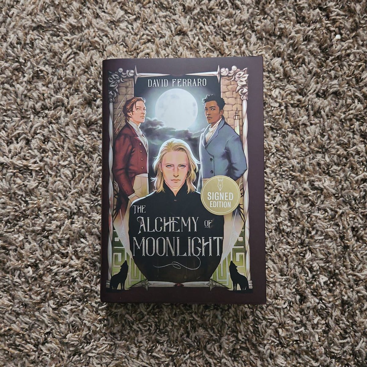 The Alchemy of Moonlight (signed) by David Ferraro, Hardcover | Pangobooks