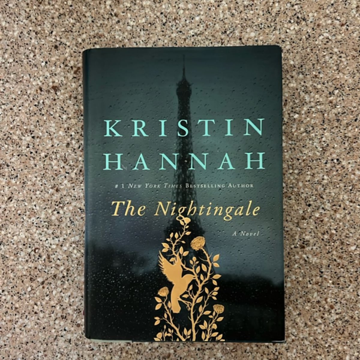 The Nightingale by Kristin Hannah
