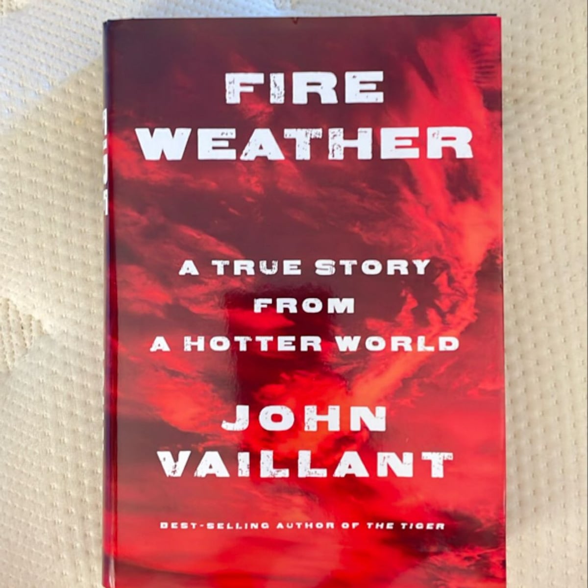 Fire Weather by John Vaillant