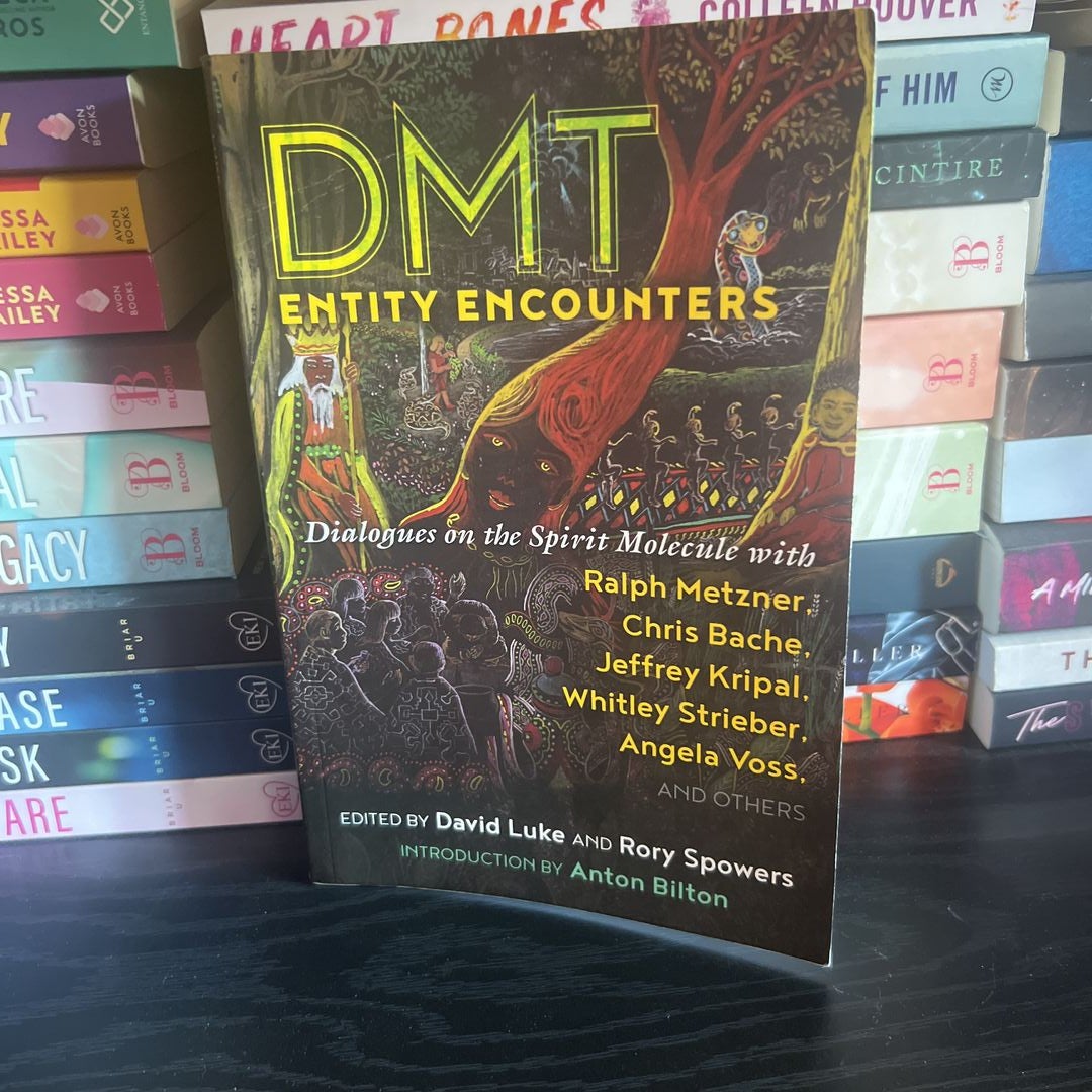 DMT Entity Encounters by Anton Bilton