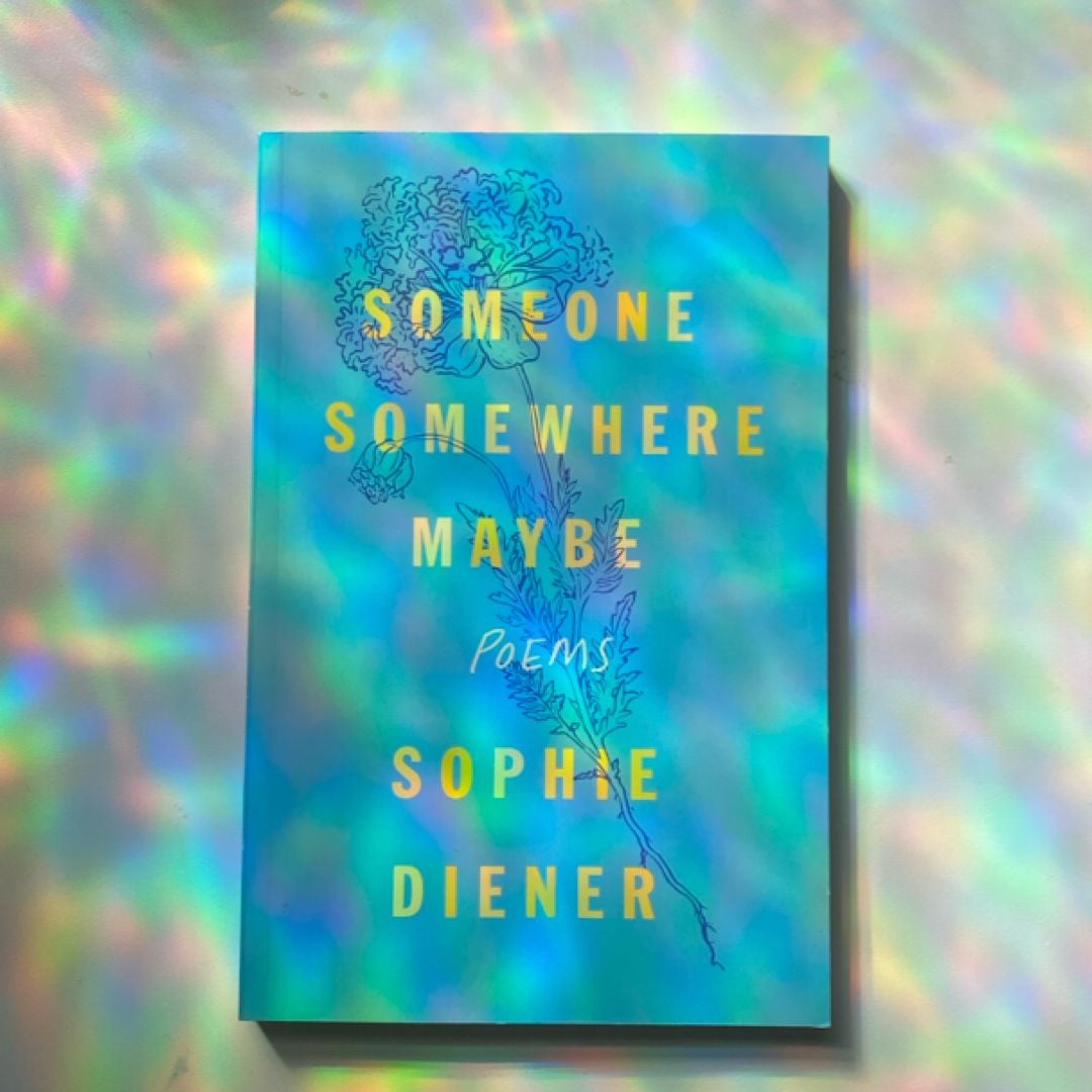 Someone Somewhere Maybe by Sophie Diener