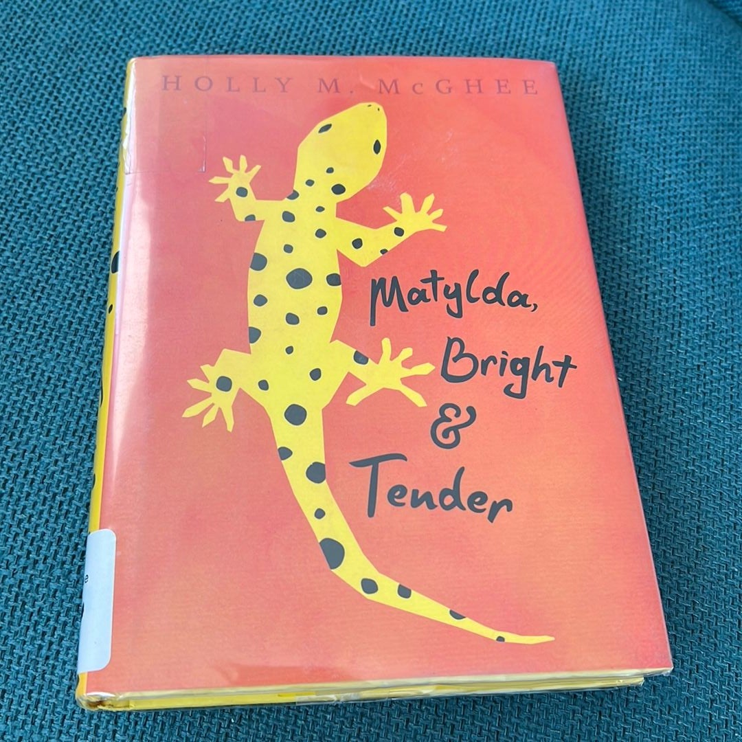 Matylda, Bright and Tender by Holly M. McGhee