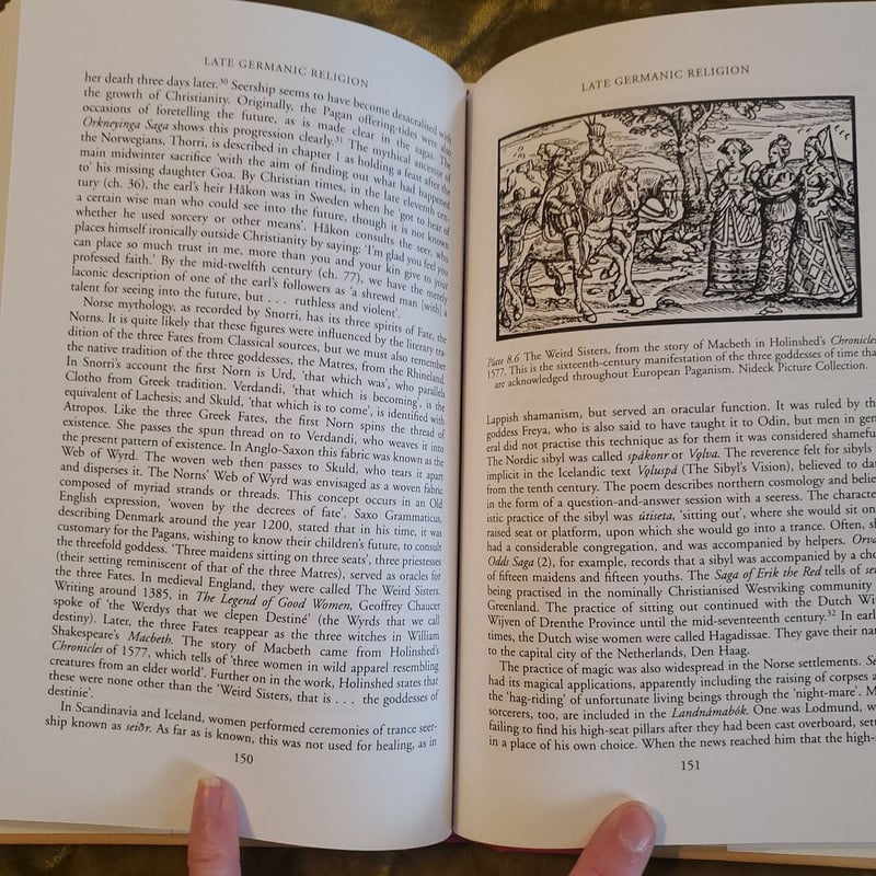 A History of Pagan Europe by Prudence Jones, Nigel Pennick, Hardcover ...