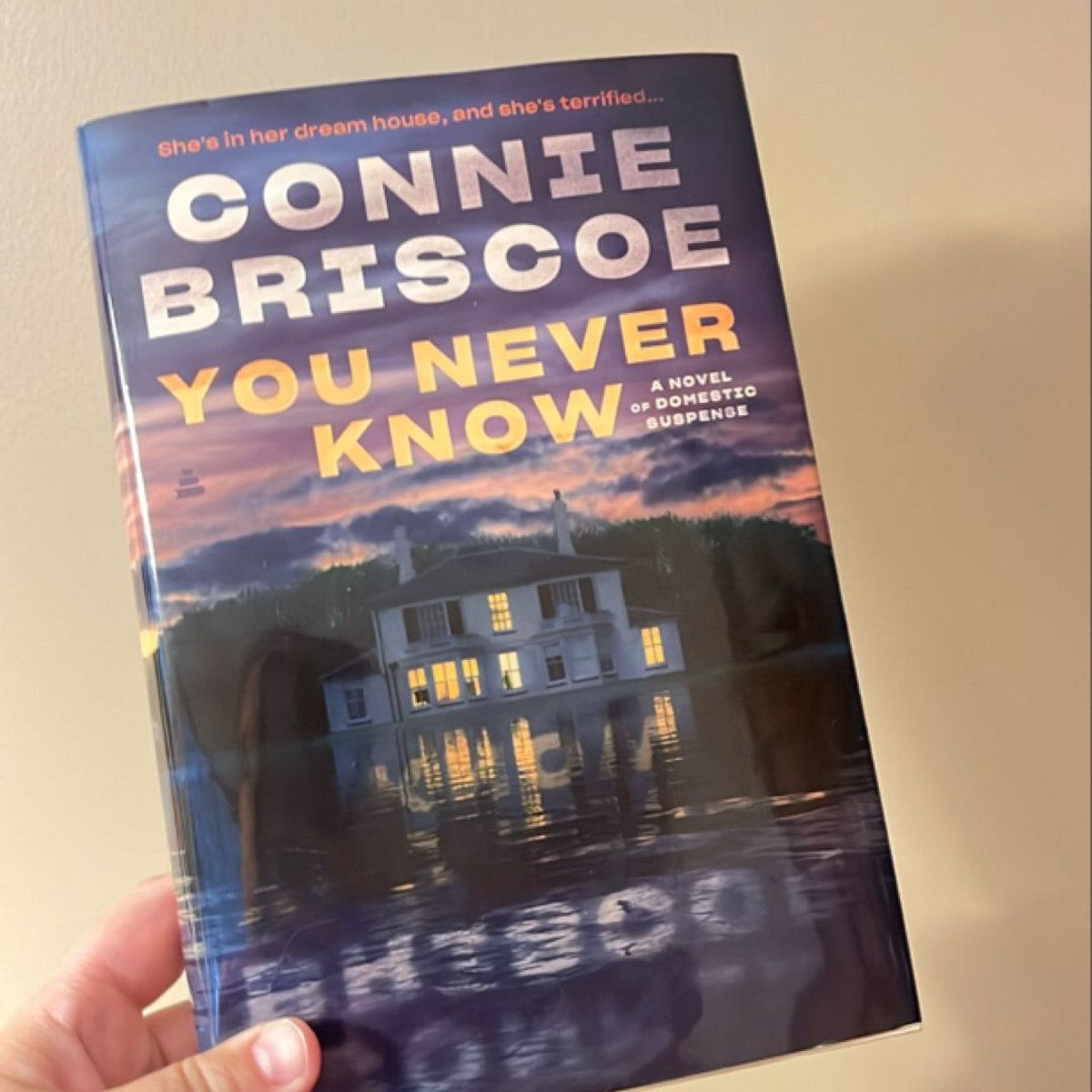 You Never Know by Connie Briscoe
