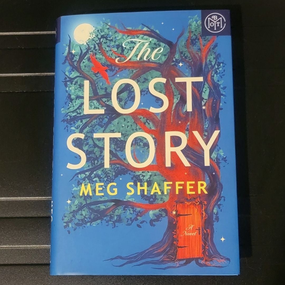 The Lost Story by Meg Shaffer, Hardcover | Pangobooks