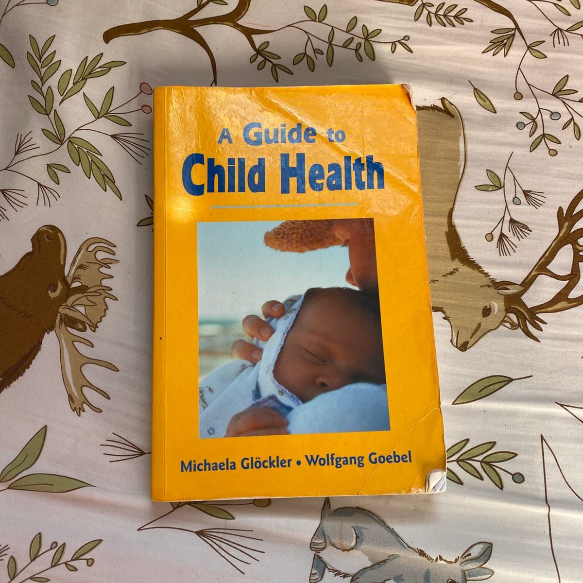 A Guide to Child Health by Wolfgang Goebel, Paperback | Pangobooks
