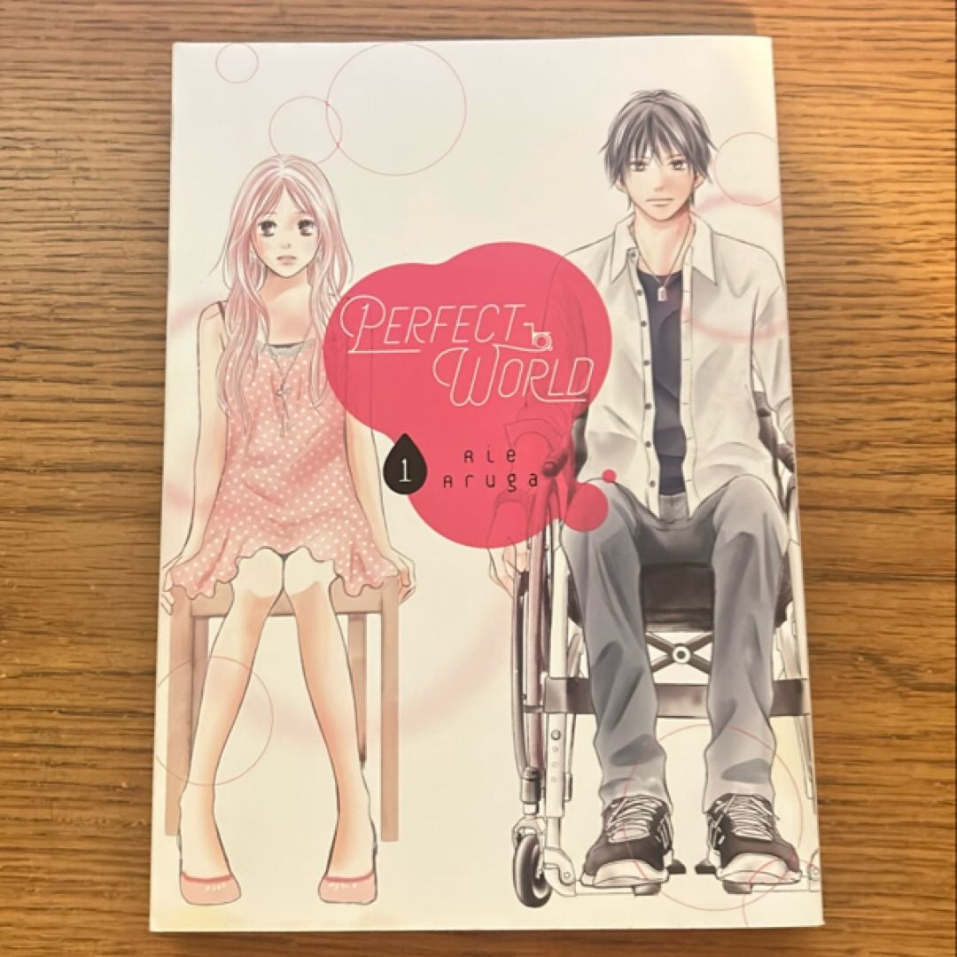 Perfect World (vol. 1) by Rie Aruga, Paperback | Pangobooks